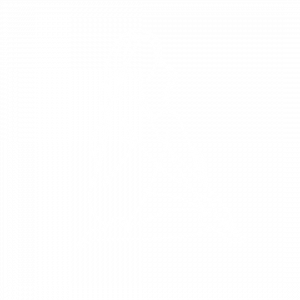 Gratis Soulbody Workshop